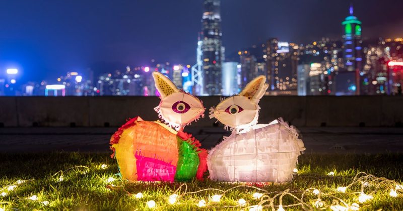 Hong Kong Lights Up for Mid-Autumn Festival with Mooncakes, Lanterns ...